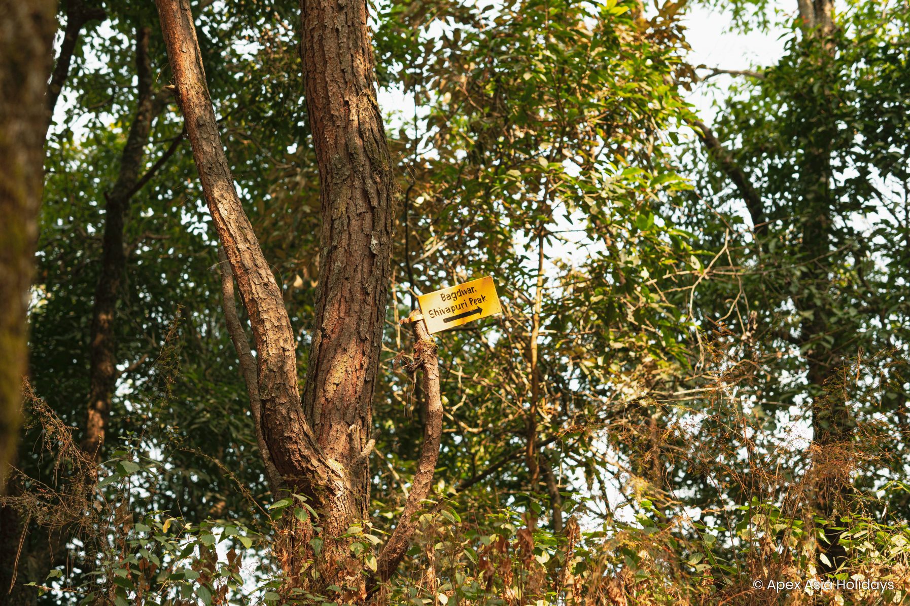 Top Hiking Trails Around Kathmandu